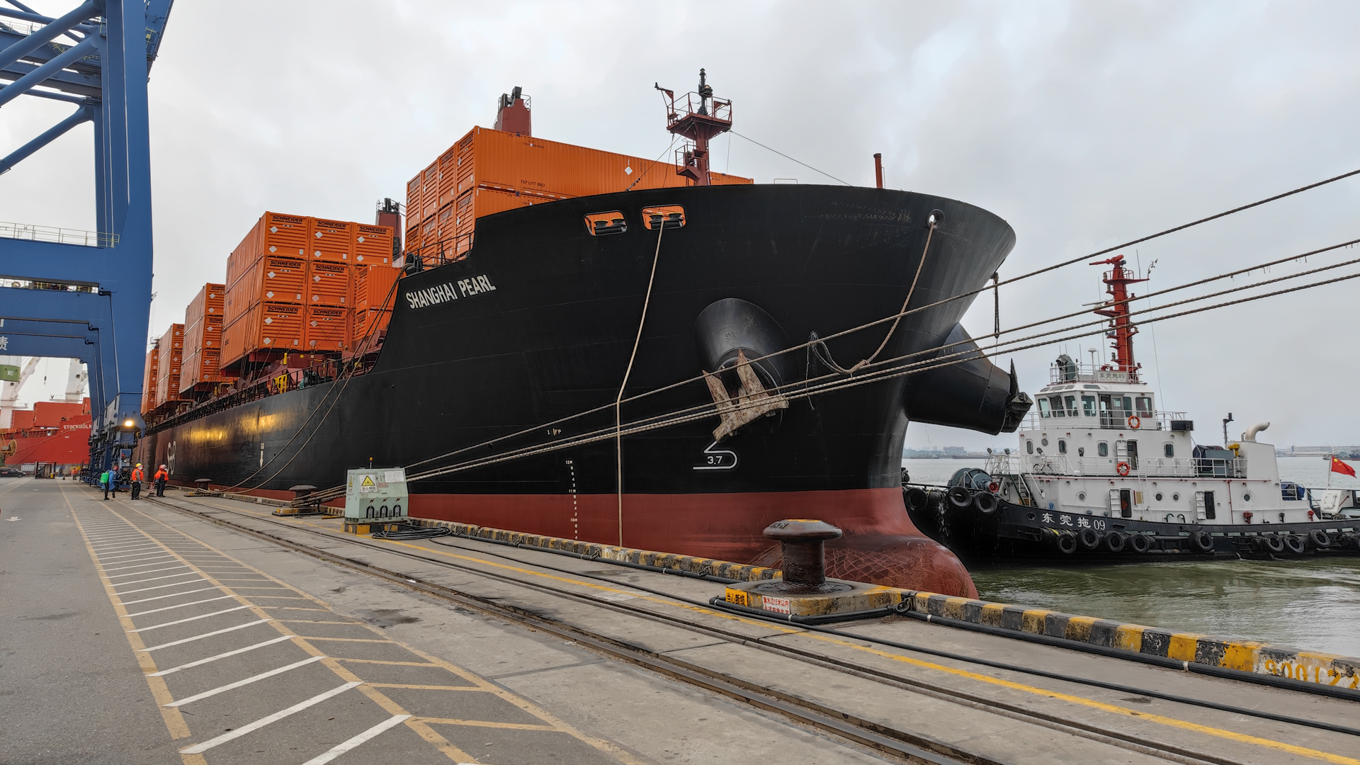 Carrier 53’ mischt den Transpazifik-Trade auf - DVZ