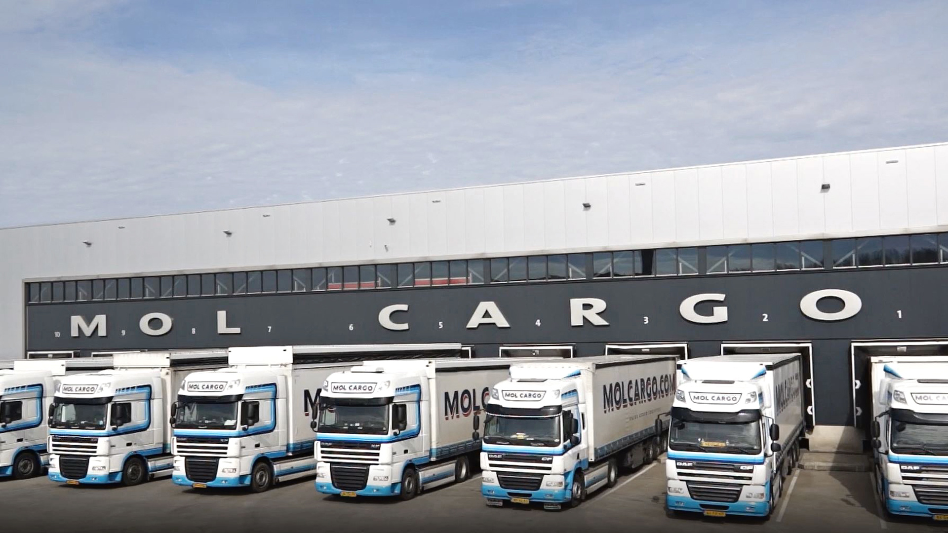 Lagermax stellt sich neu auf und expandiert - DVZ