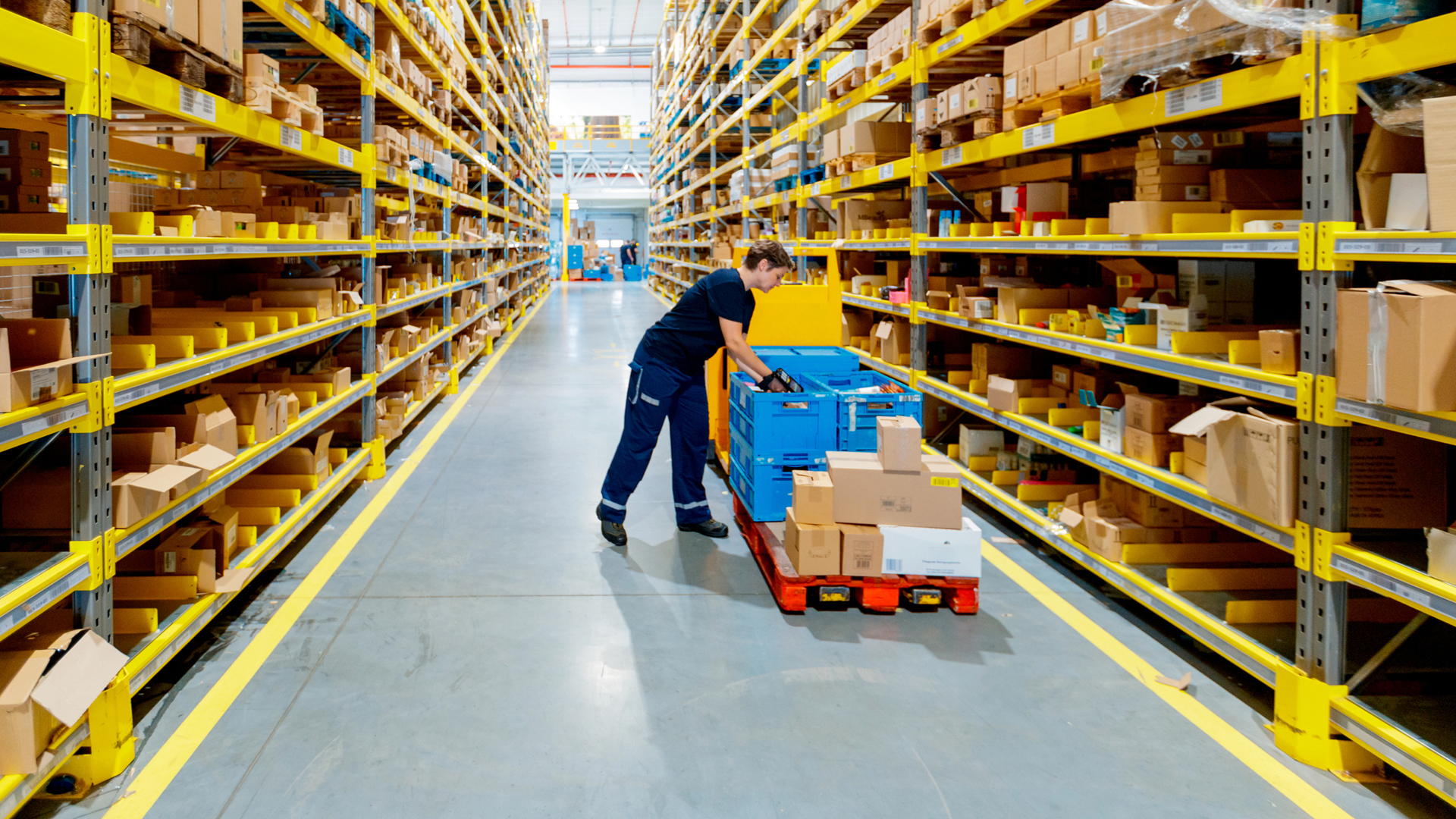 Report: Lagerarbeit wird leichter - DVZ