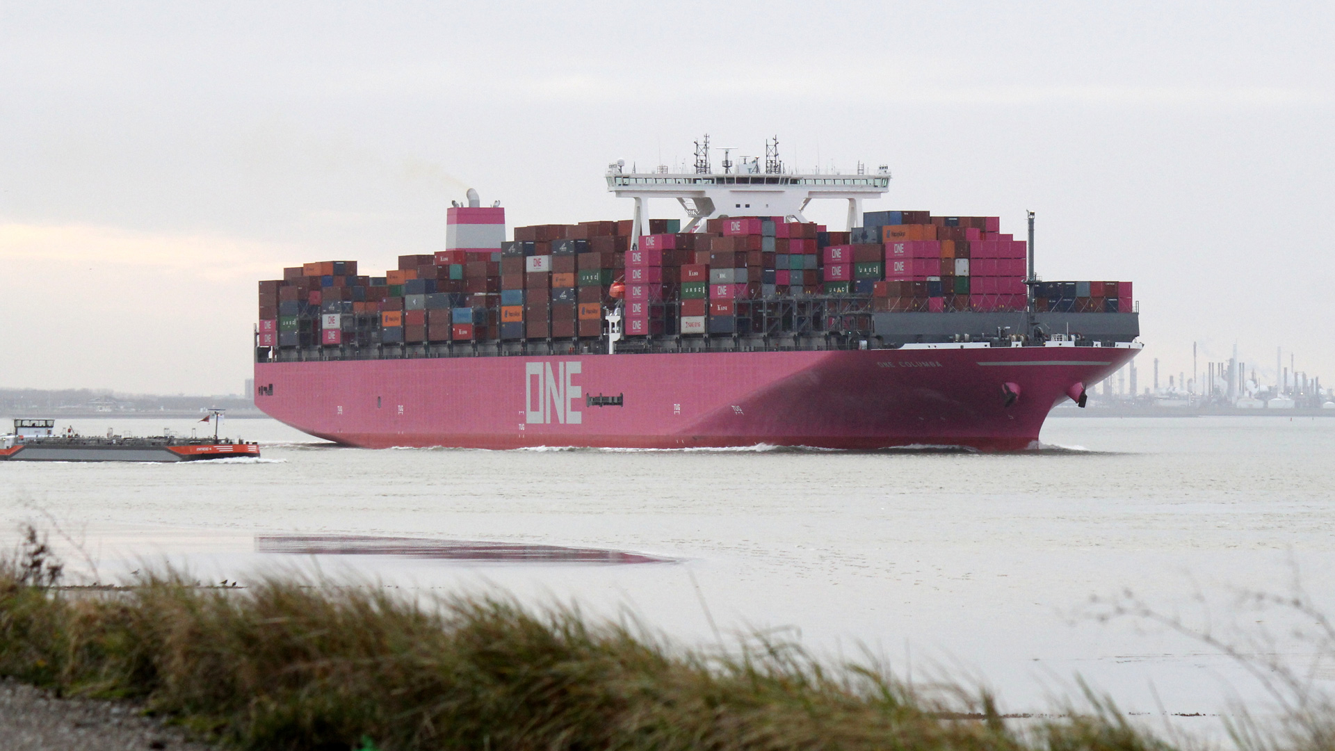 ONE bestellt 10 neue Containerriesen - DVZ