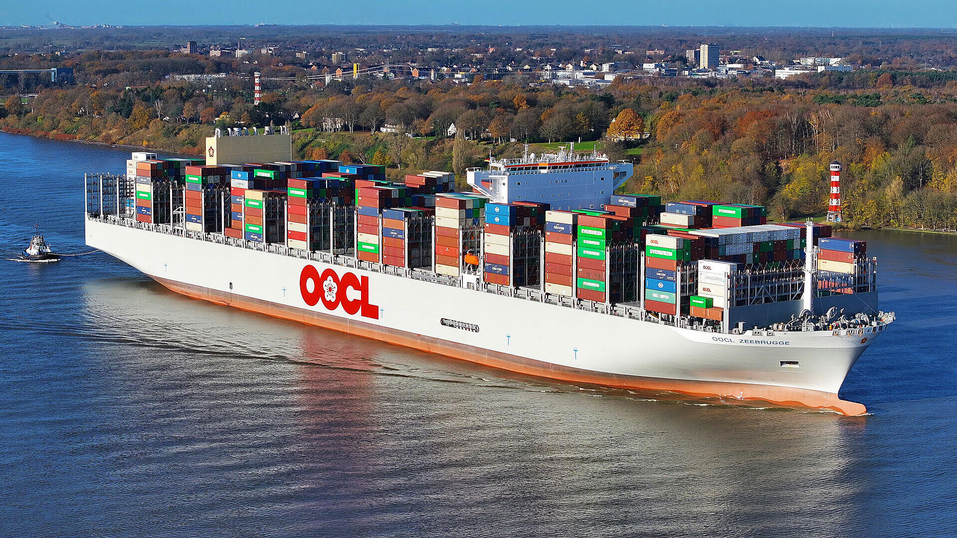 OOCL erleidet Umsatzeinbruch - DVZ