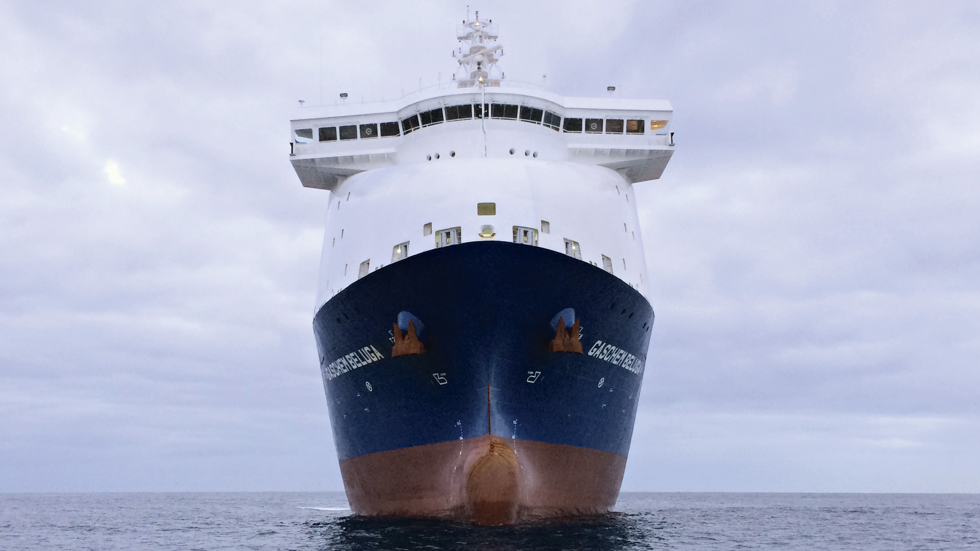 Leeraner Reeder planen neue Schiffsprojekte - DVZ