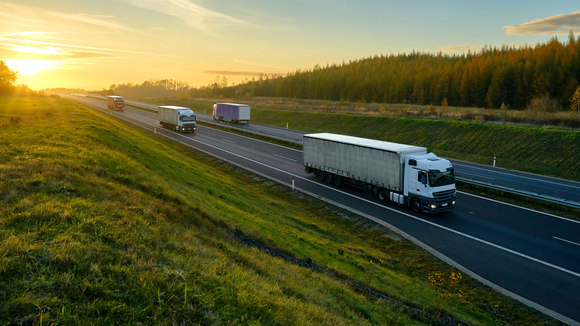 Alpega Group kauft Wtransnet - DVZ