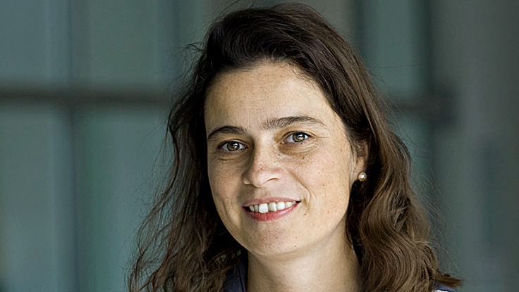 Windt übernimmt akademische Leitung der Jacobs University - DVZ