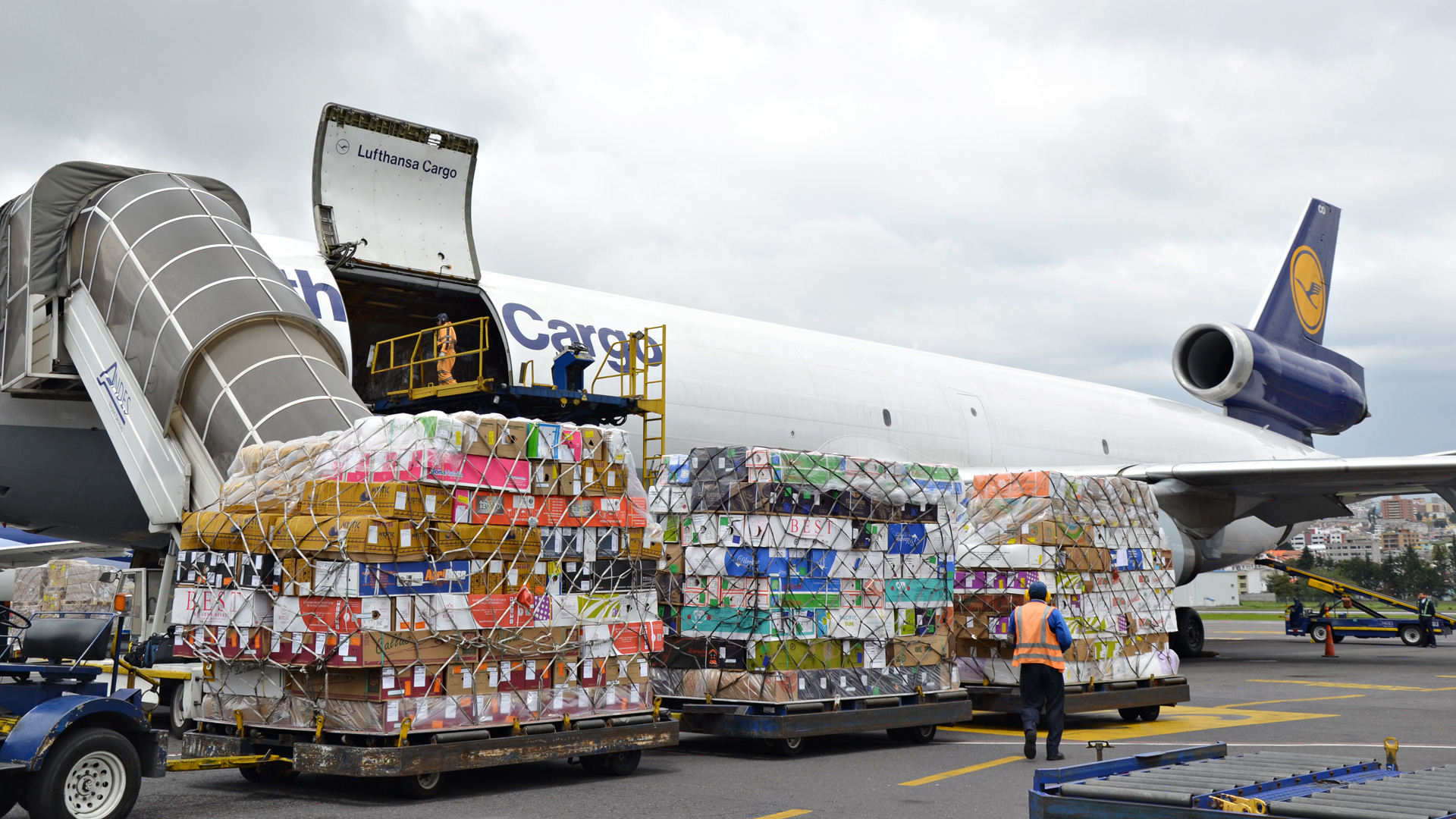 Lufthansa Cargo erhöht ihre Kapazität um zehn Prozent - DVZ