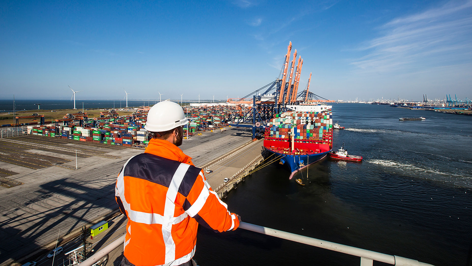 Hafen Rotterdam legt beim Containerumschlag zu - DVZ